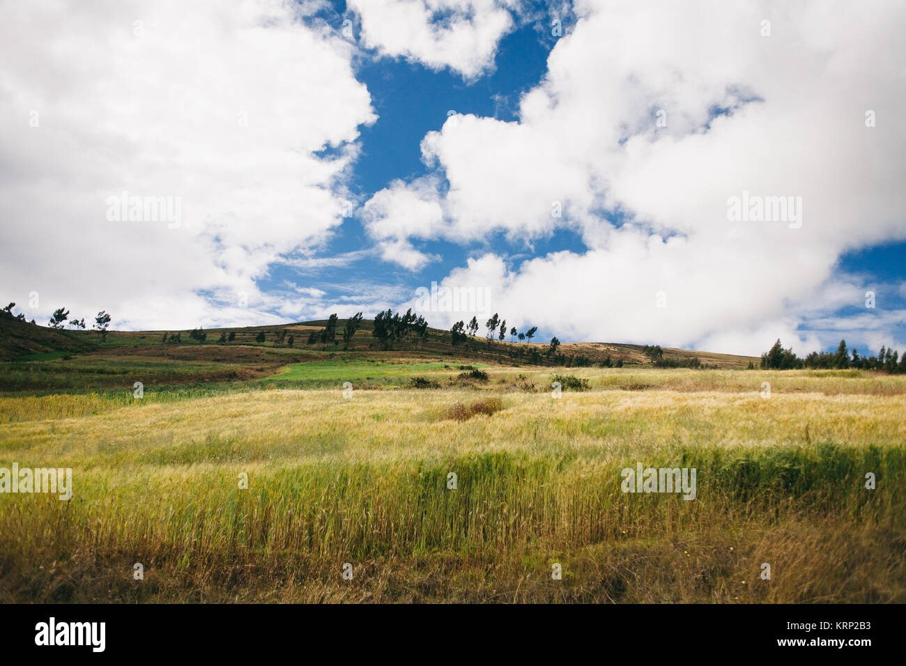 A view at peruvian landscape Stock Photo - Alamy