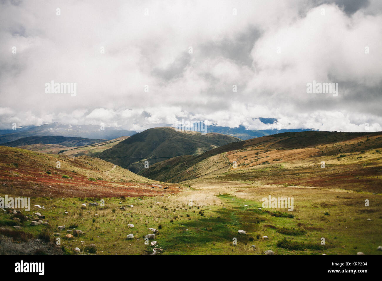 A view at a peruvian landscape Stock Photo - Alamy