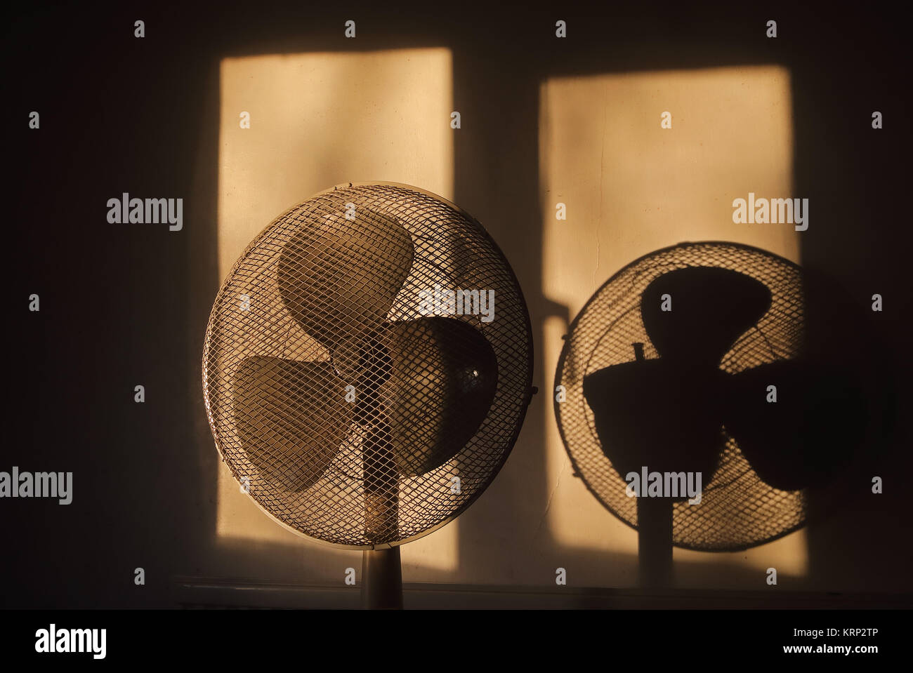 early morning light on fan with shadow Stock Photo - Alamy