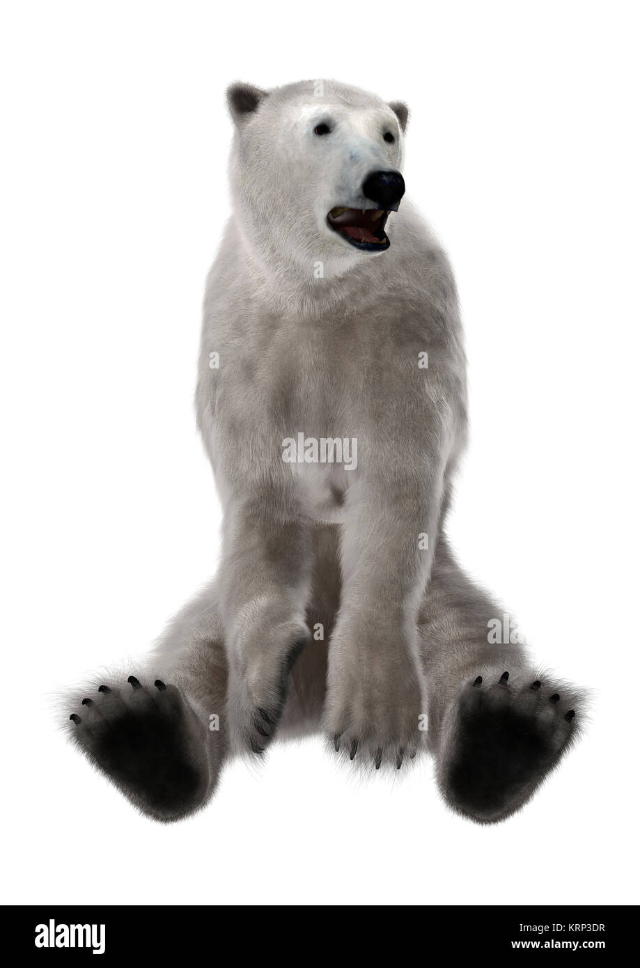 3d polar bear on Cut Out Stock Images & Pictures - Alamy