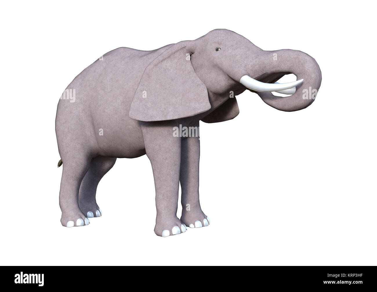 3D Rendering Elephant on White Stock Photo - Alamy
