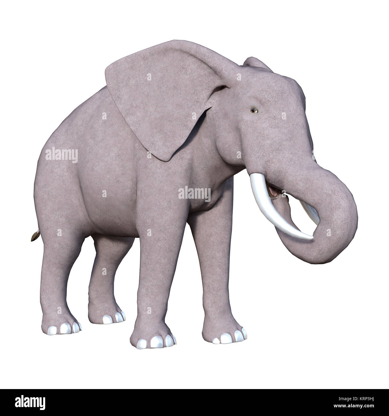 3D Rendering Elephant on White Stock Photo - Alamy