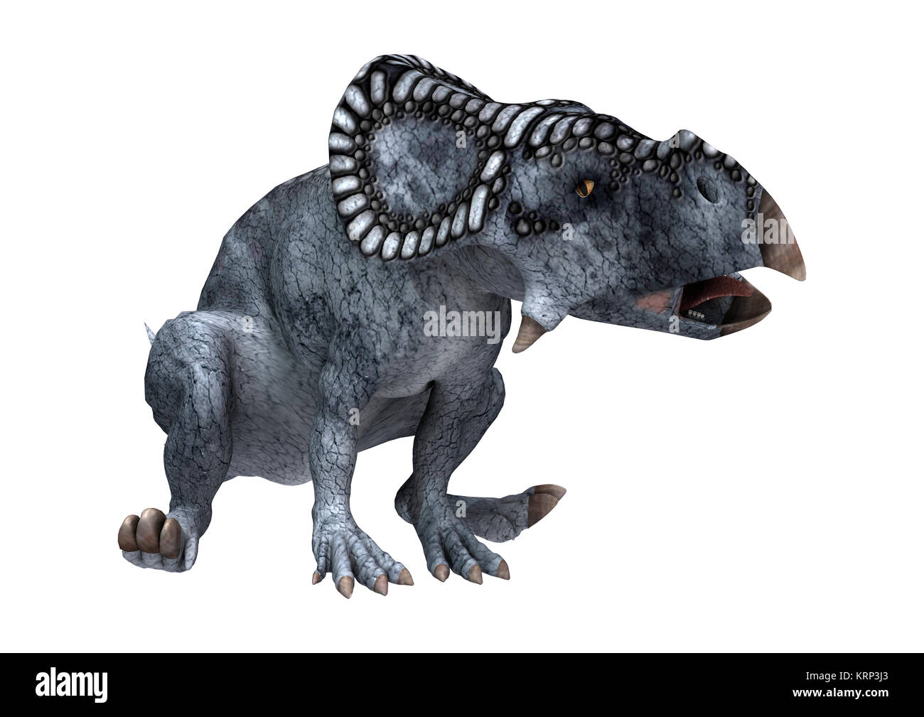 3D Rendering Dinosaur Protoceratops on White Stock Photo - Alamy