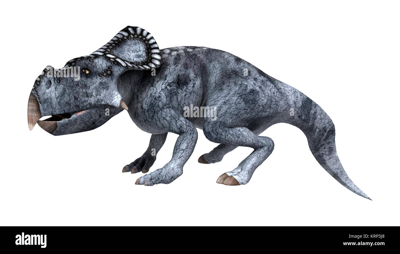 Protoceratops hi-res stock photography and images - Alamy