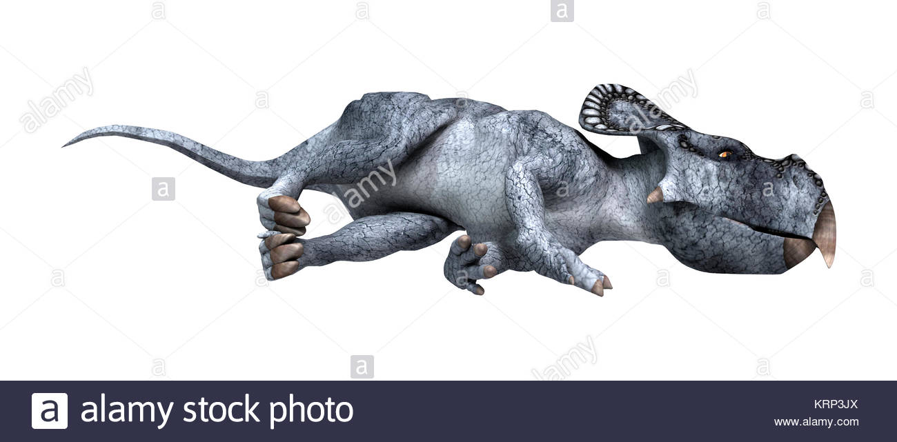 Protoceratops Stock Photos & Protoceratops Stock Images - Alamy