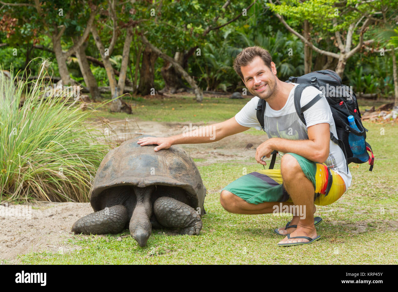 Radiant tortoise hi-res stock photography and images - Alamy