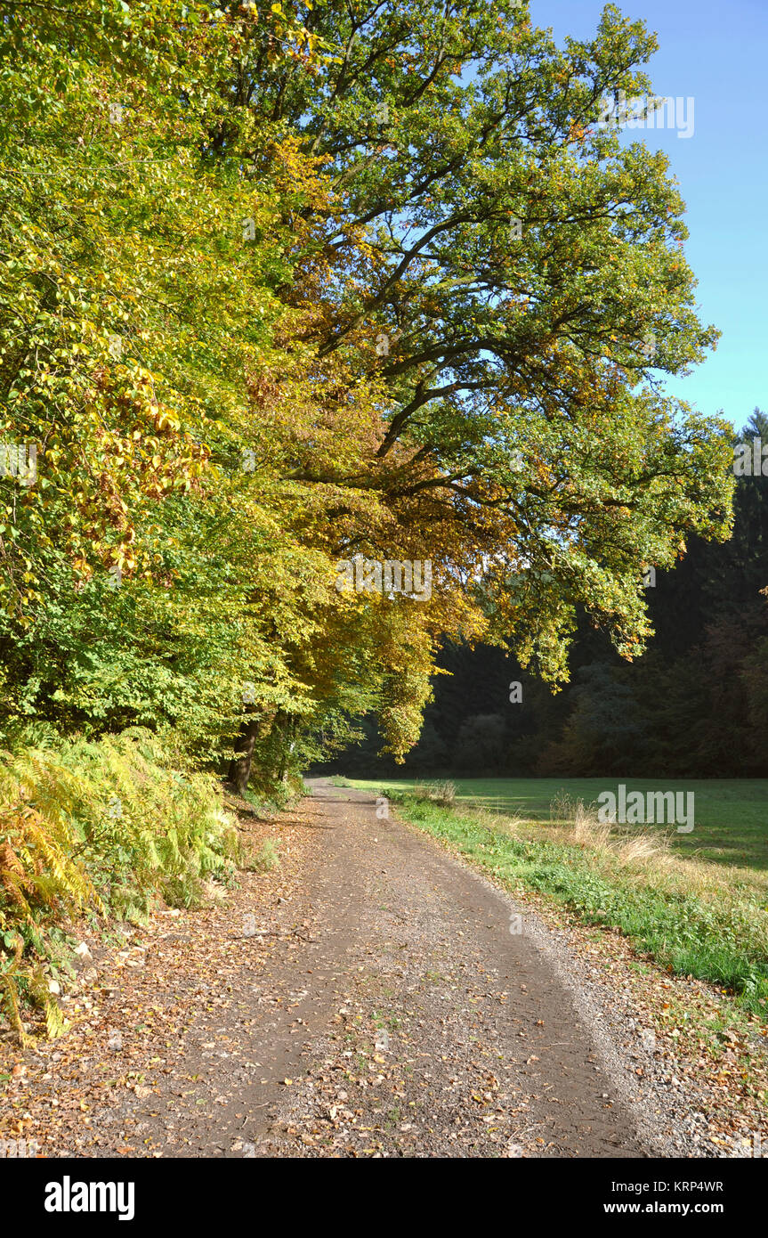 autumn colors in nature Stock Photo - Alamy