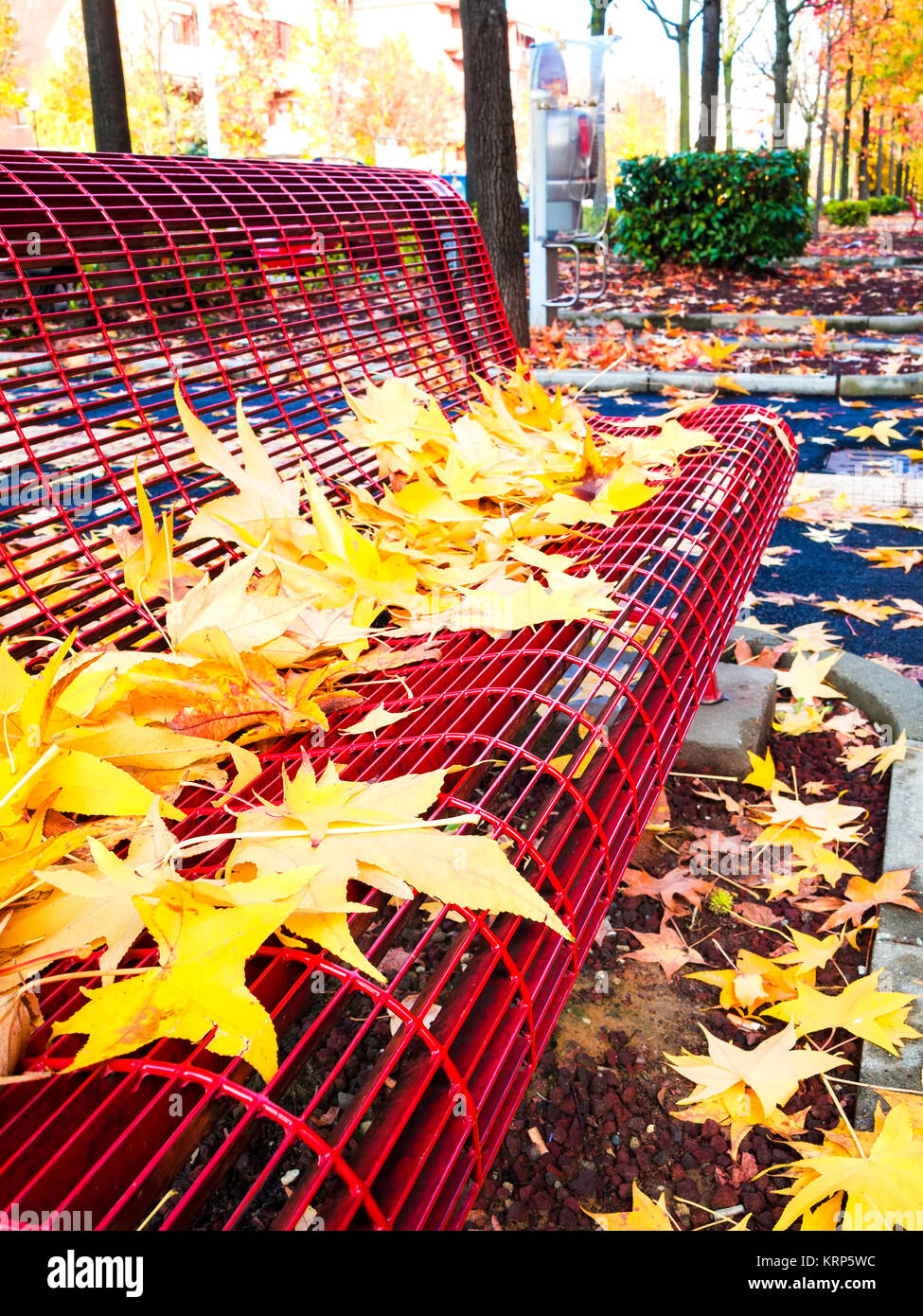 Autumn bench covered with leaves Stock Photo - Alamy