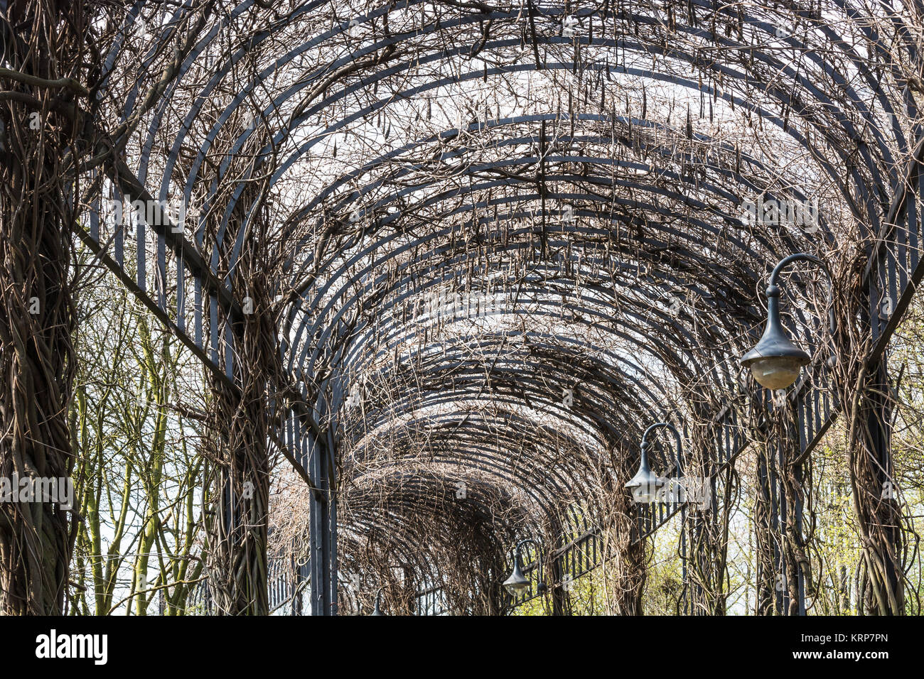 Vine covered porch hi-res stock photography and images - Alamy