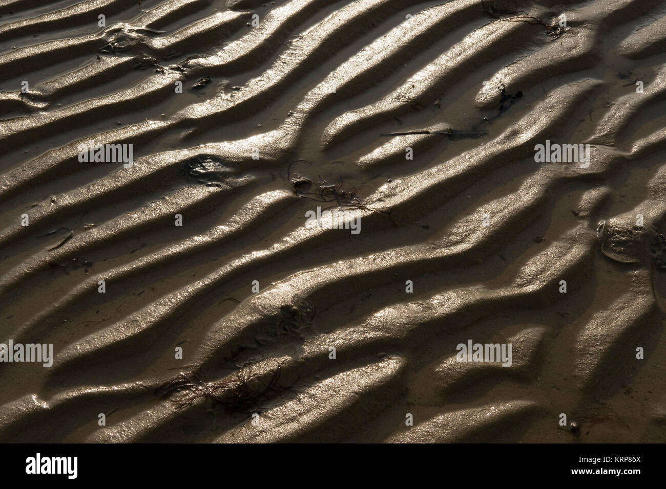 Tide lines on sandy beach hi-res stock photography and images - Alamy