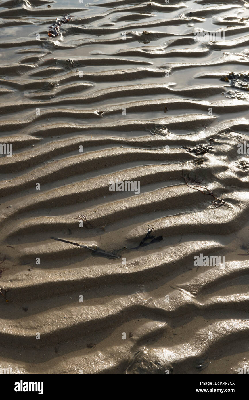 Tide lines on sandy beach hi-res stock photography and images - Alamy