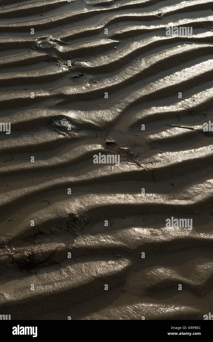 Tide lines on sandy beach hi-res stock photography and images - Alamy