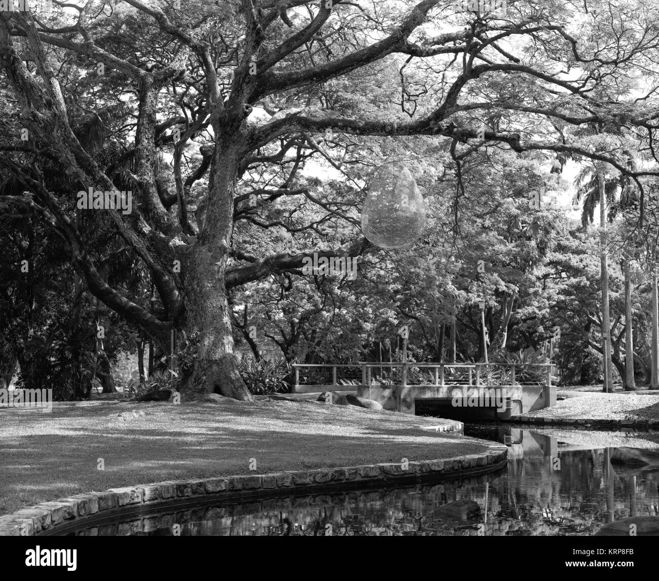 Nt water Black and White Stock Photos & Images - Alamy