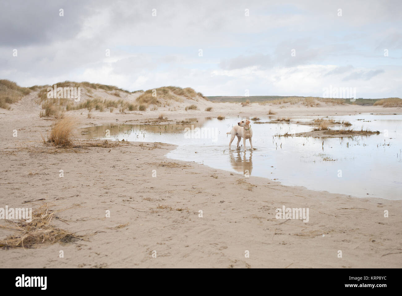 Playing beach donegal hi-res stock photography and images - Alamy