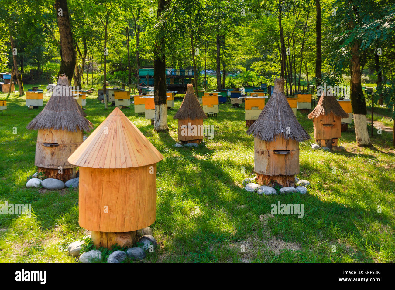 Apiary honey bee house . Bee, honey, bee house, honeycomb. Honey ... Apiary honey bee house . Bee, honey, bee house, honeycomb. Honey ...