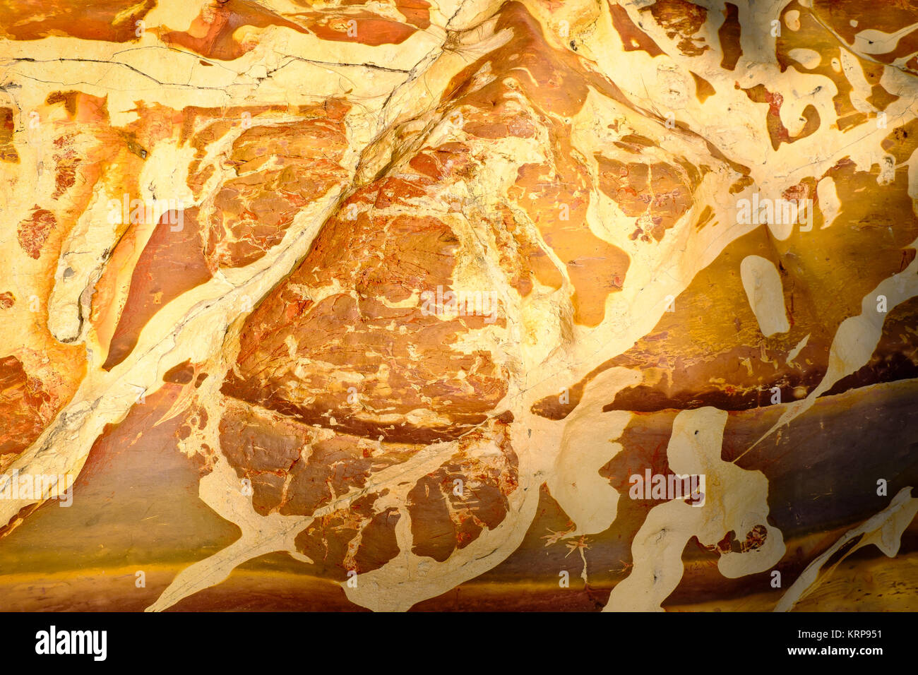 Darwin nt hi-res stock photography and images - Alamy