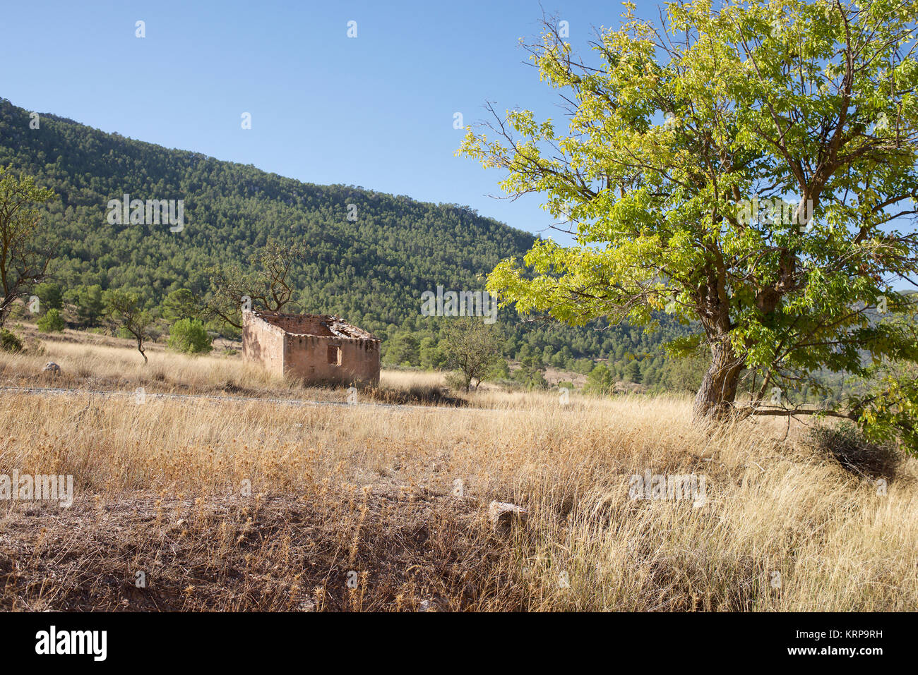 Small ruined building in the landscape Stock Photo - Alamy
