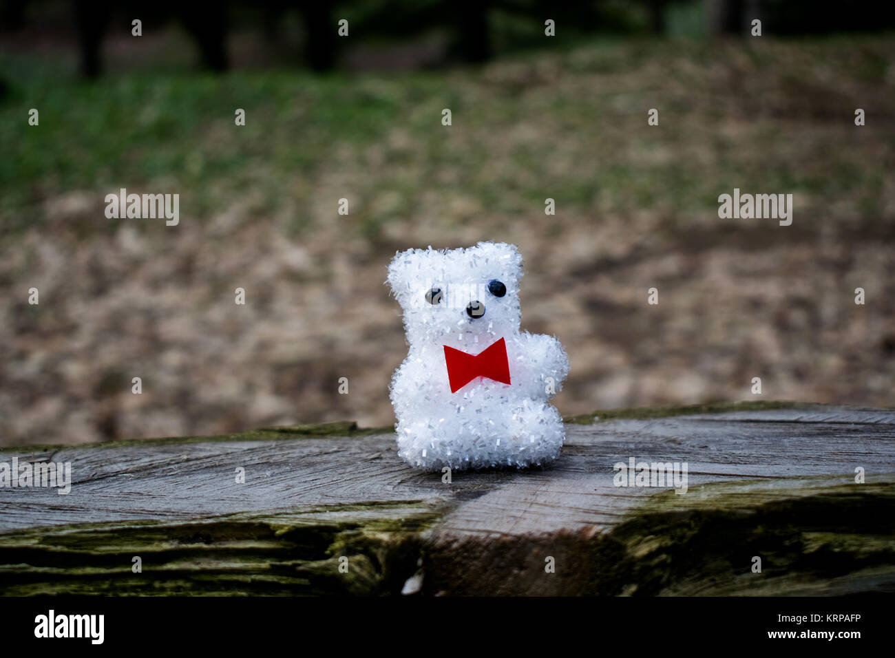 White bears hi-res stock photography and images - Alamy