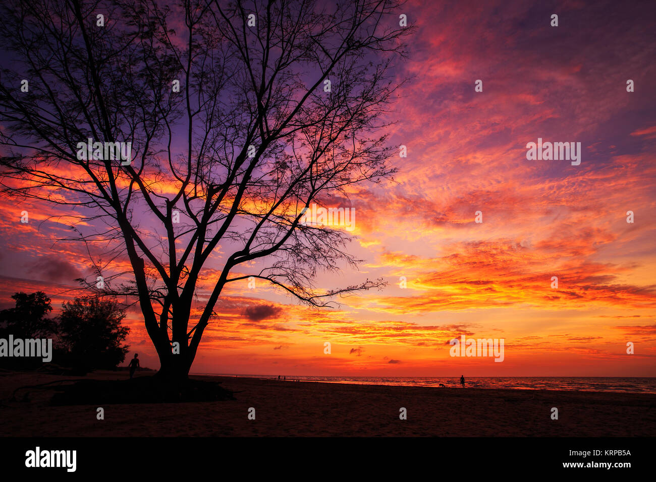 Lee Point, NT Stock Photo - Alamy