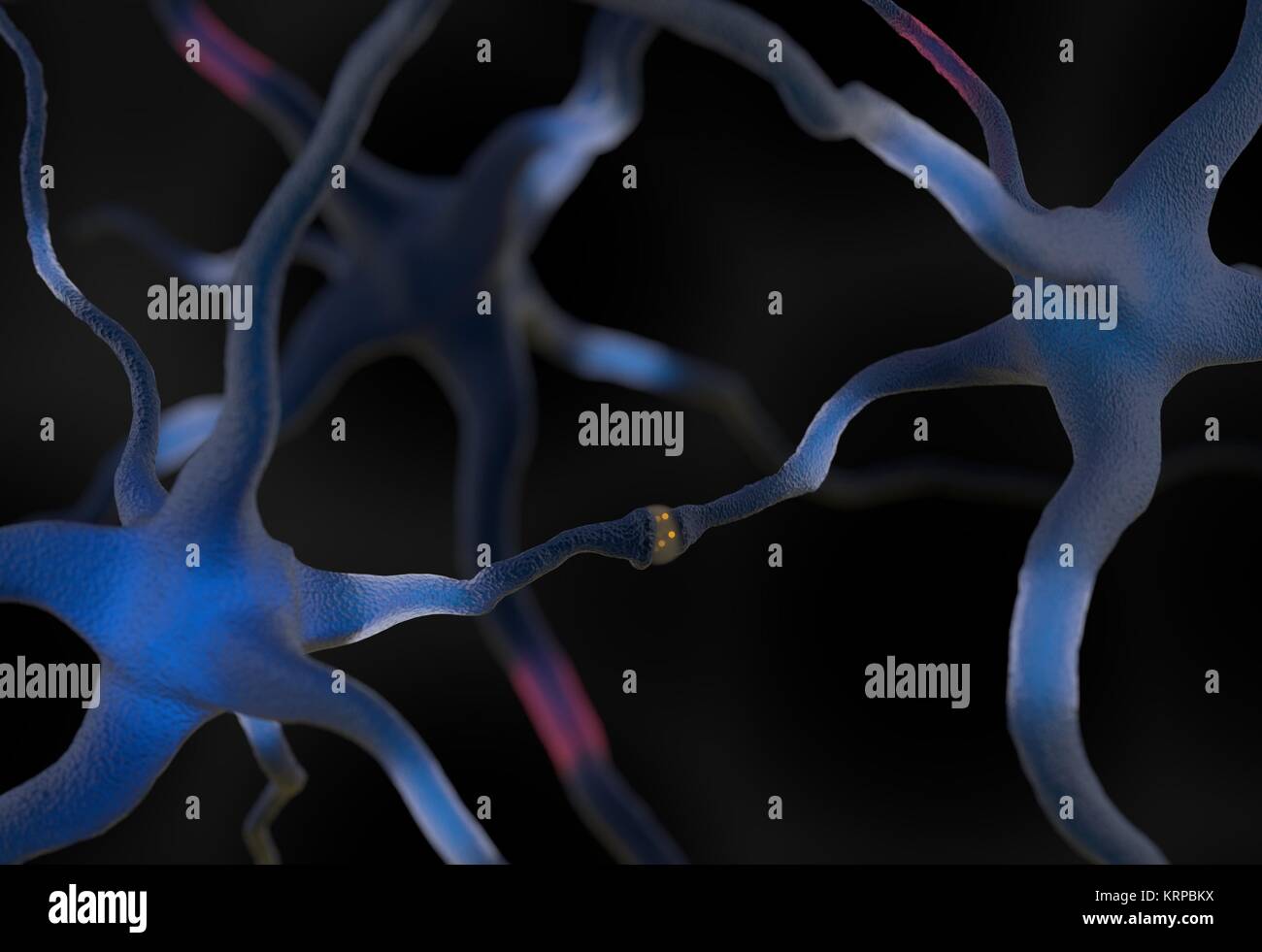 Neurons connected in brain 3d illustration Stock Photo - Alamy