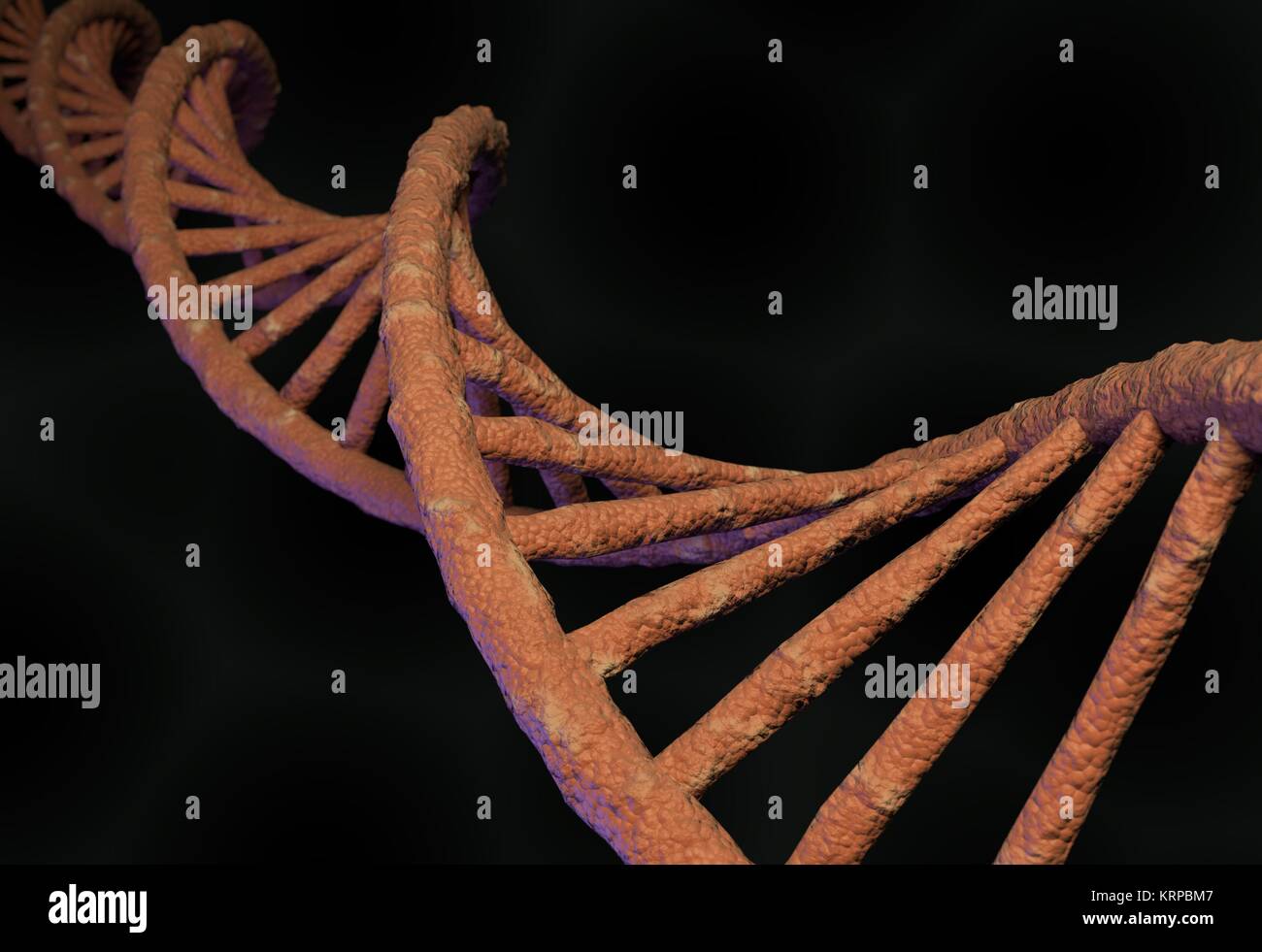 DNA molecule structure. 3d illustration Stock Photo - Alamy