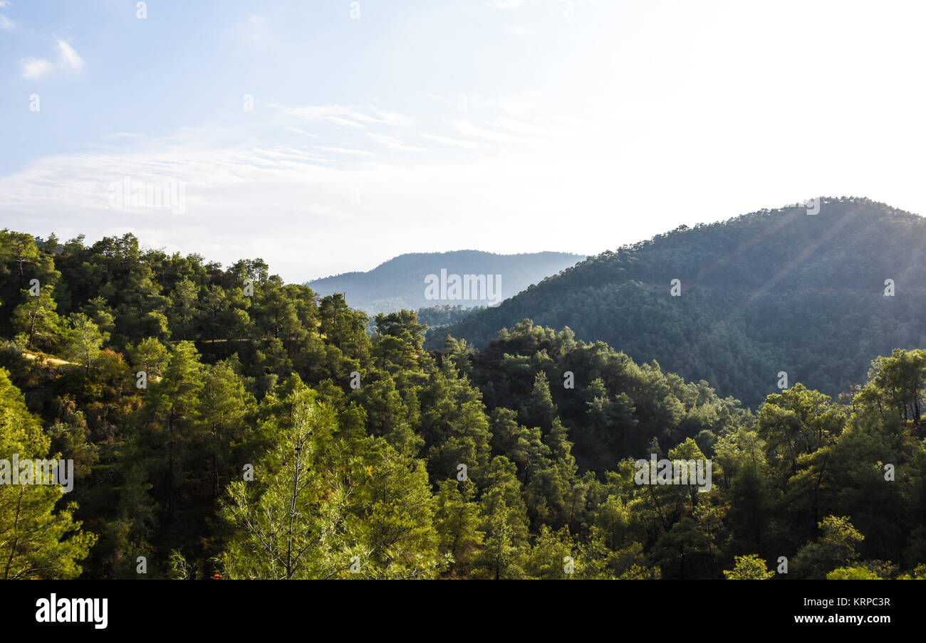 Paphos Forest, Cyprus Stock Photo - Alamy