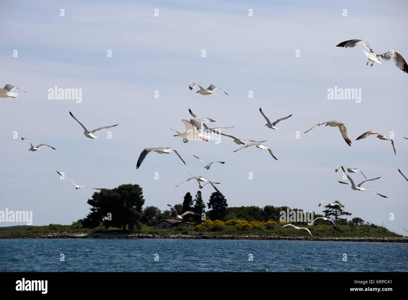 Fliegende insel hi-res stock photography and images - Alamy