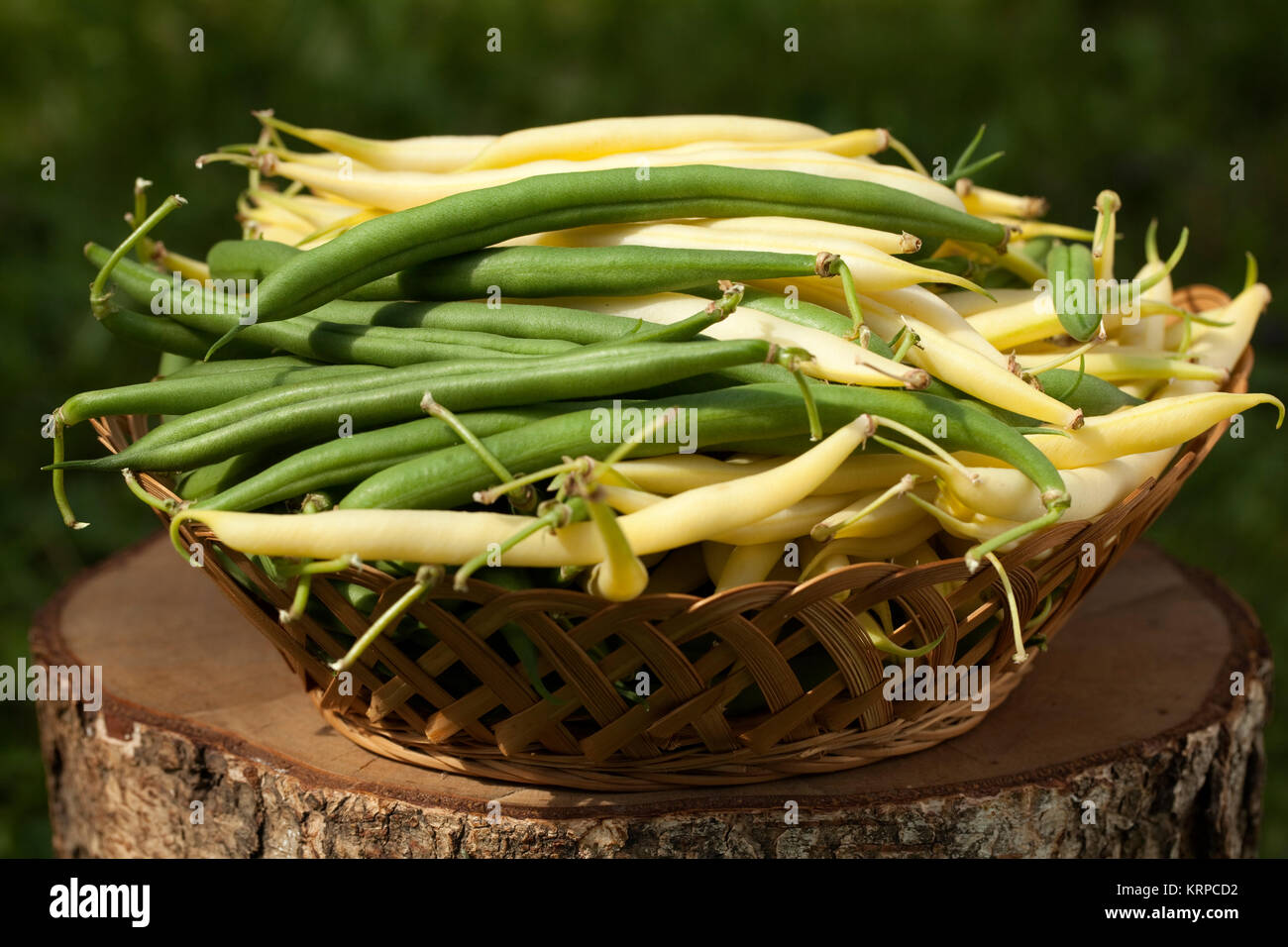 bean in basket Stock Photo - Alamy