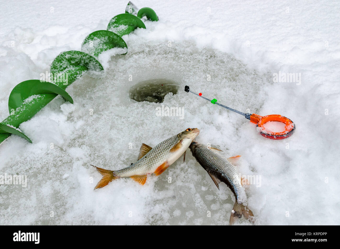 Ice fishing trophy success winter hi-res stock photography and images ...