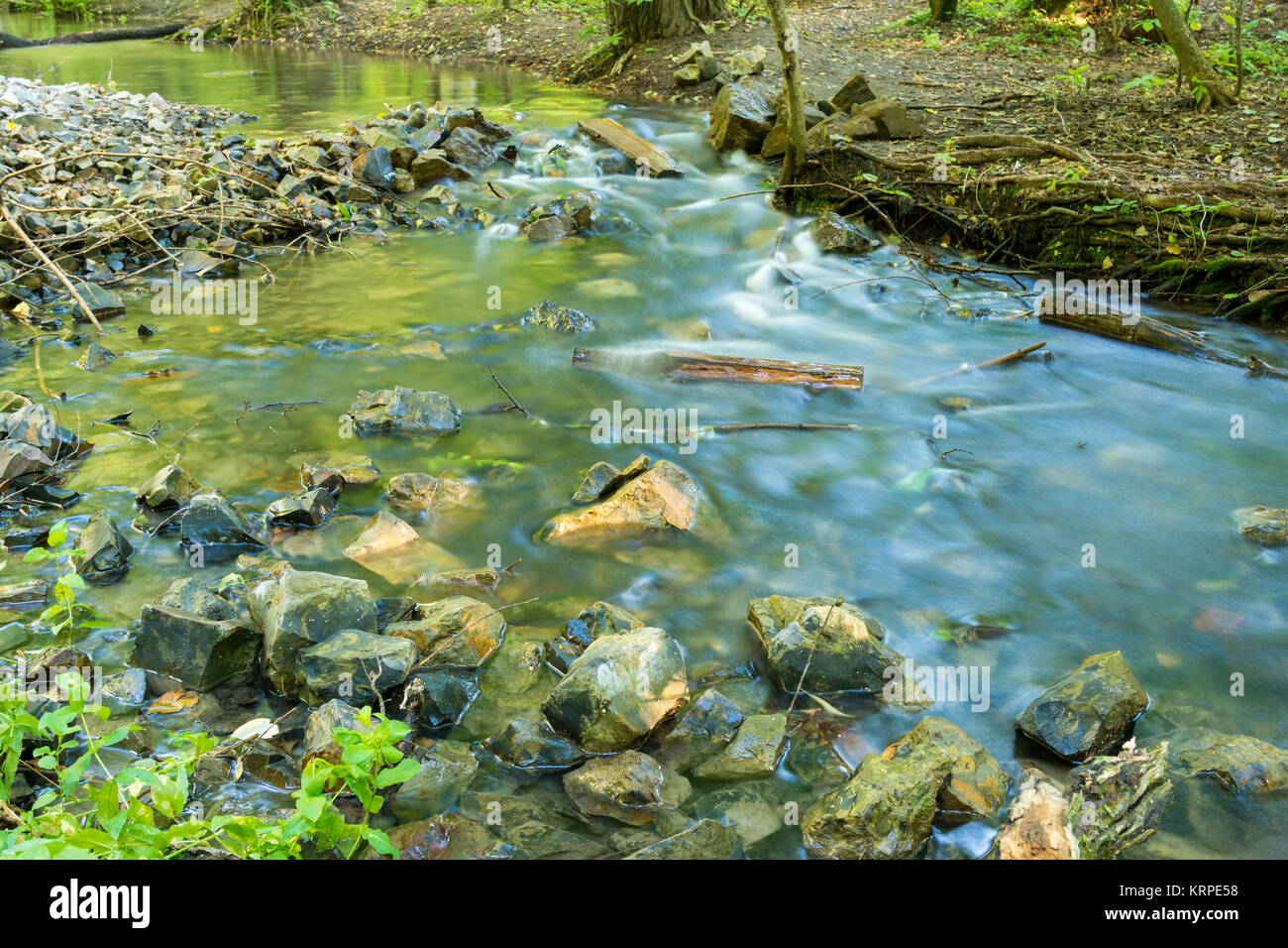 Forest River, Long Shutter Stock Photo - Alamy