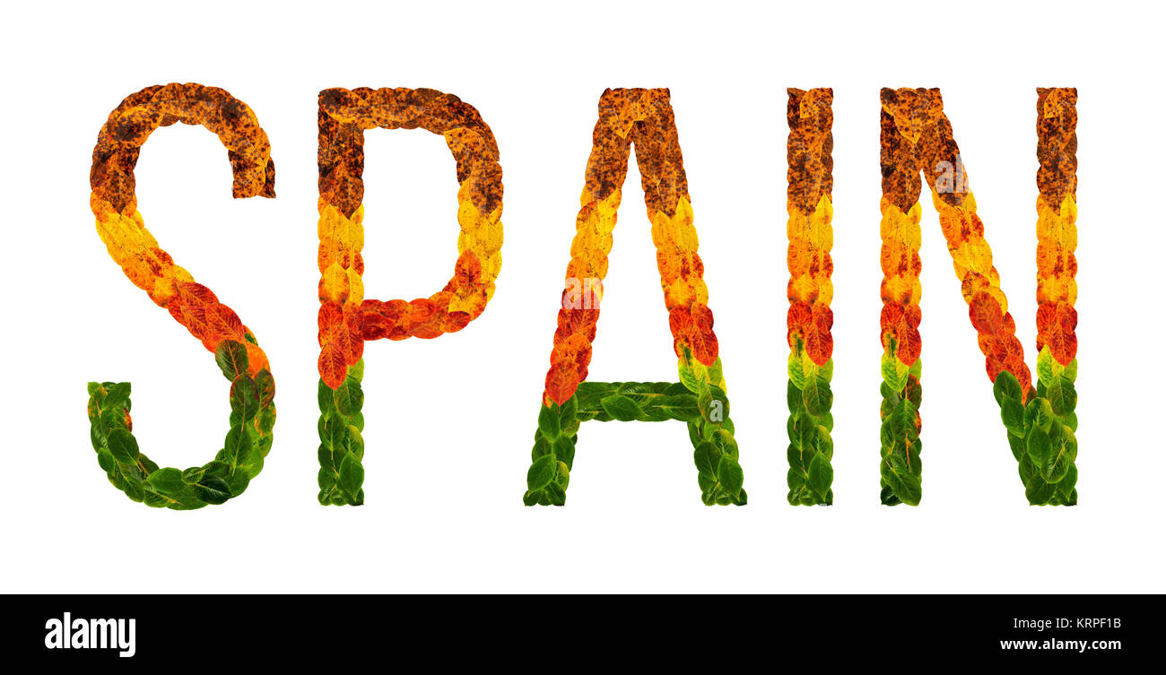 word spain country is written with leaves on a white insulated ...
