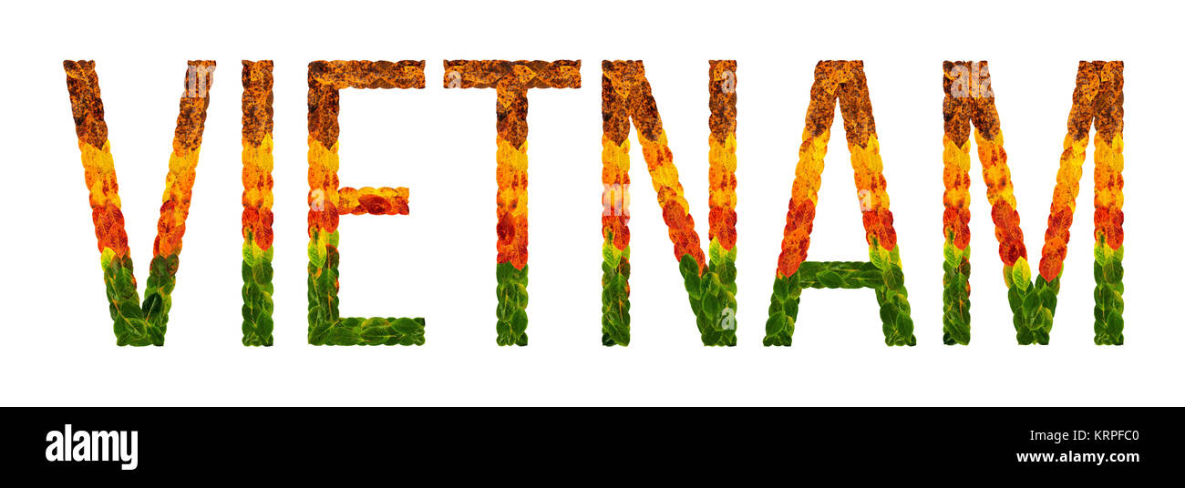word vietnam country is written with leaves on a white insulated ...