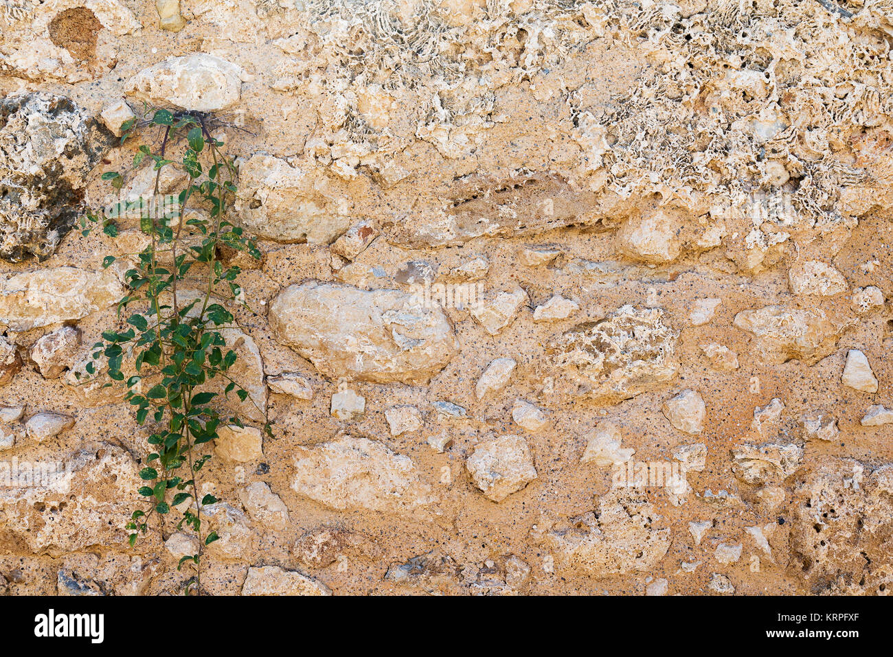 stone wall, stone fence, stone terrace, wall texture background Stock ...