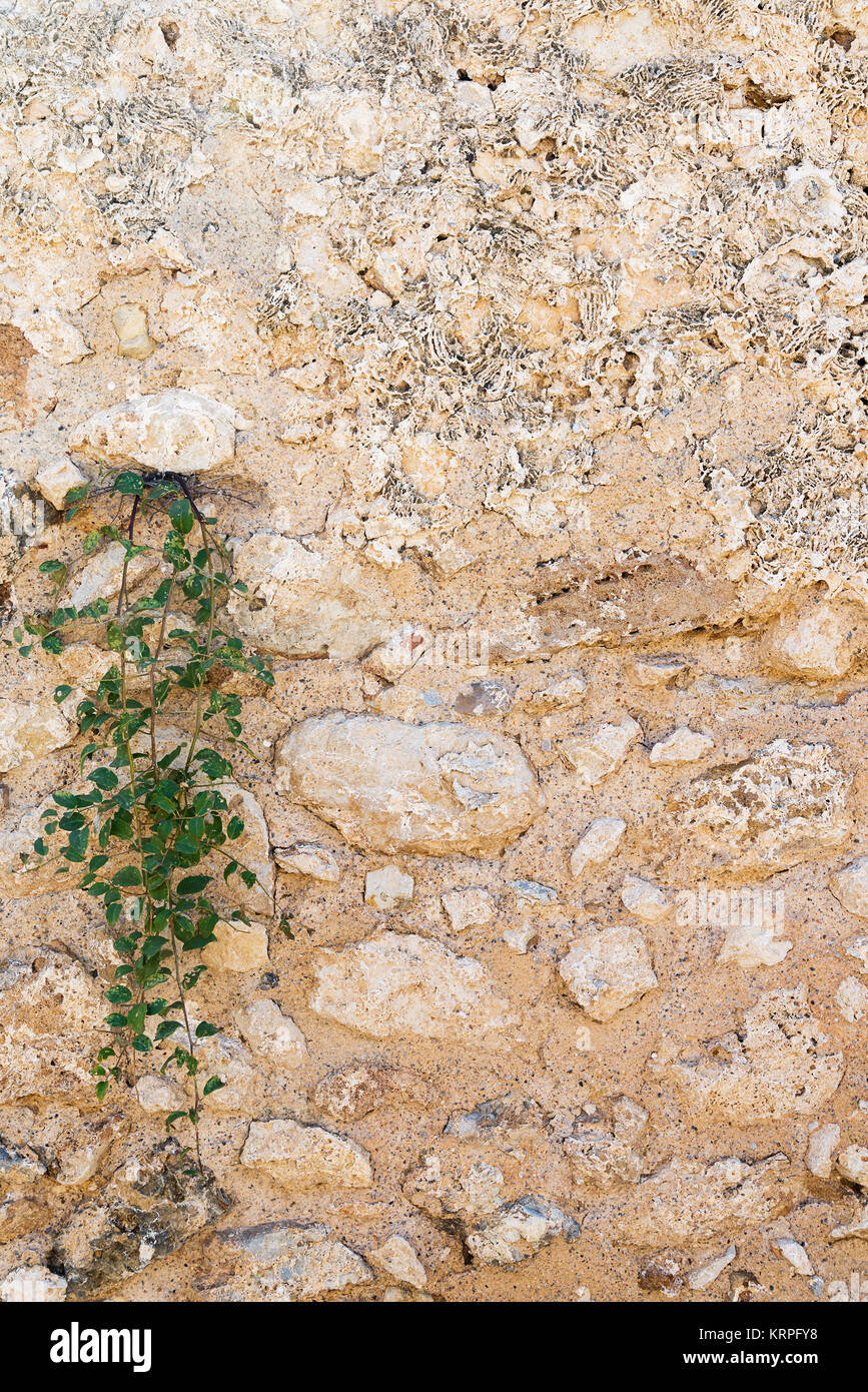 stone wall, stone fence, stone terrace, wall texture background Stock ...