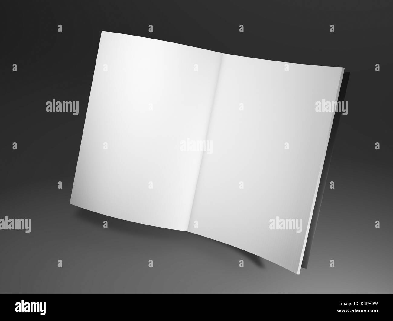 Couple reading booklet Black and White Stock Photos & Images - Alamy