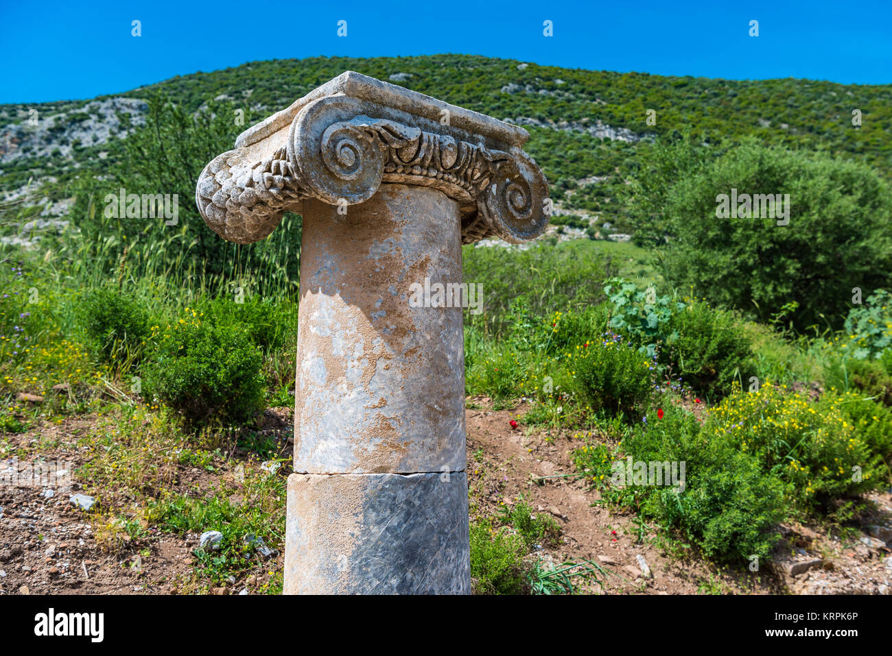 Columns at ancient city of Ephesus Stock Photo - Alamy