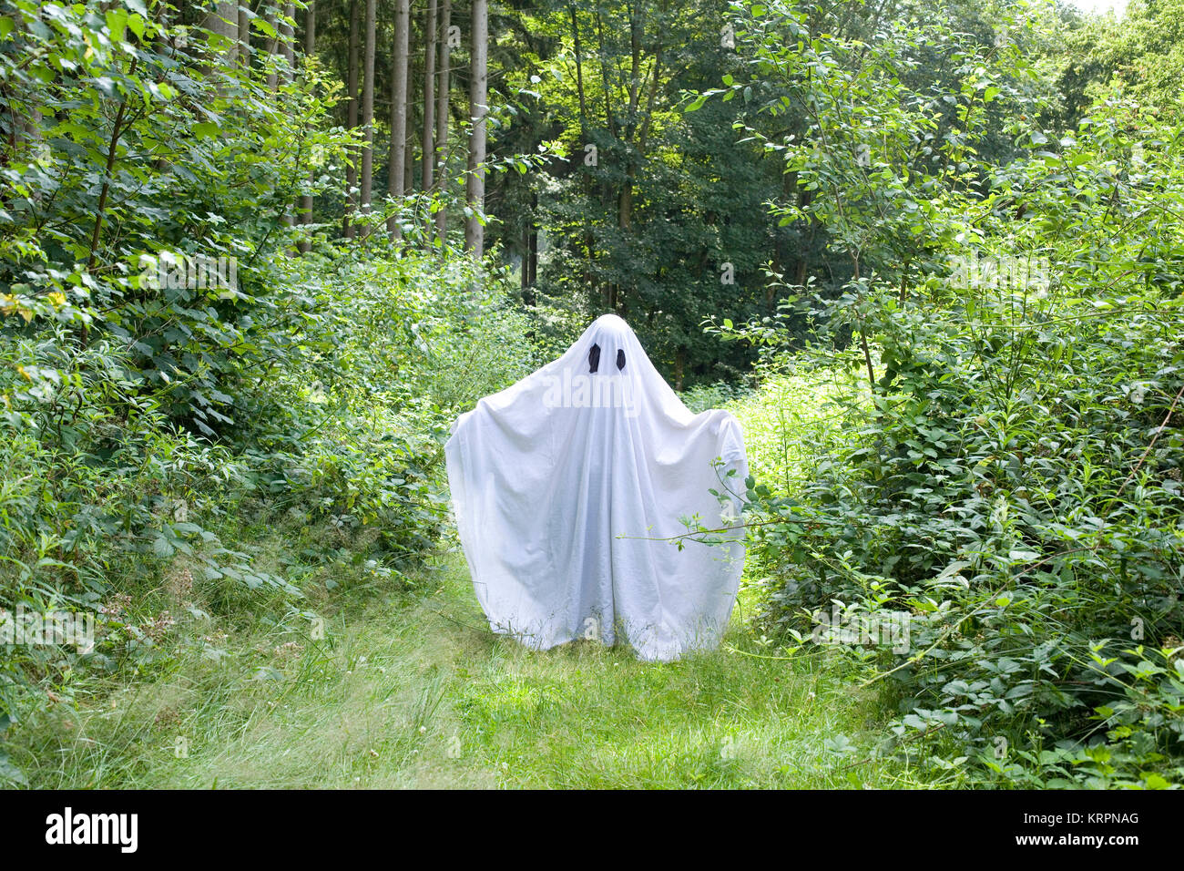 a white ghost in forest Stock Photo - Alamy