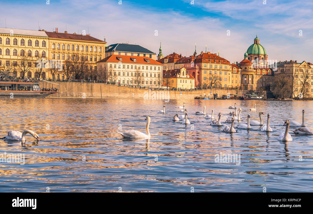 Vltava prague rowing hi-res stock photography and images - Alamy