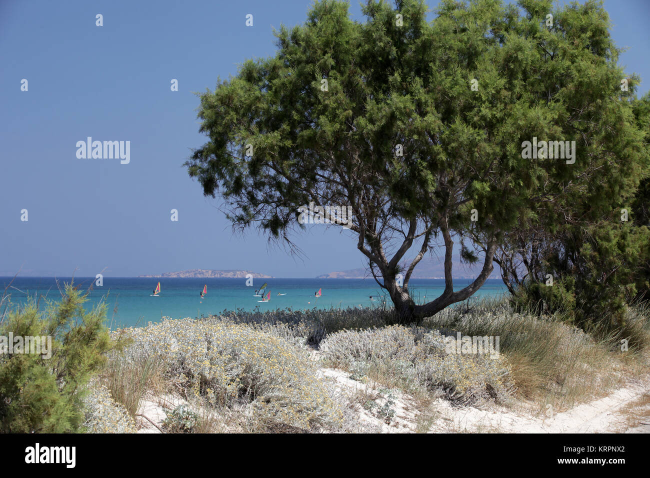 Mastichari beach on Kos Island, Dodecanese Stock Photo - Alamy