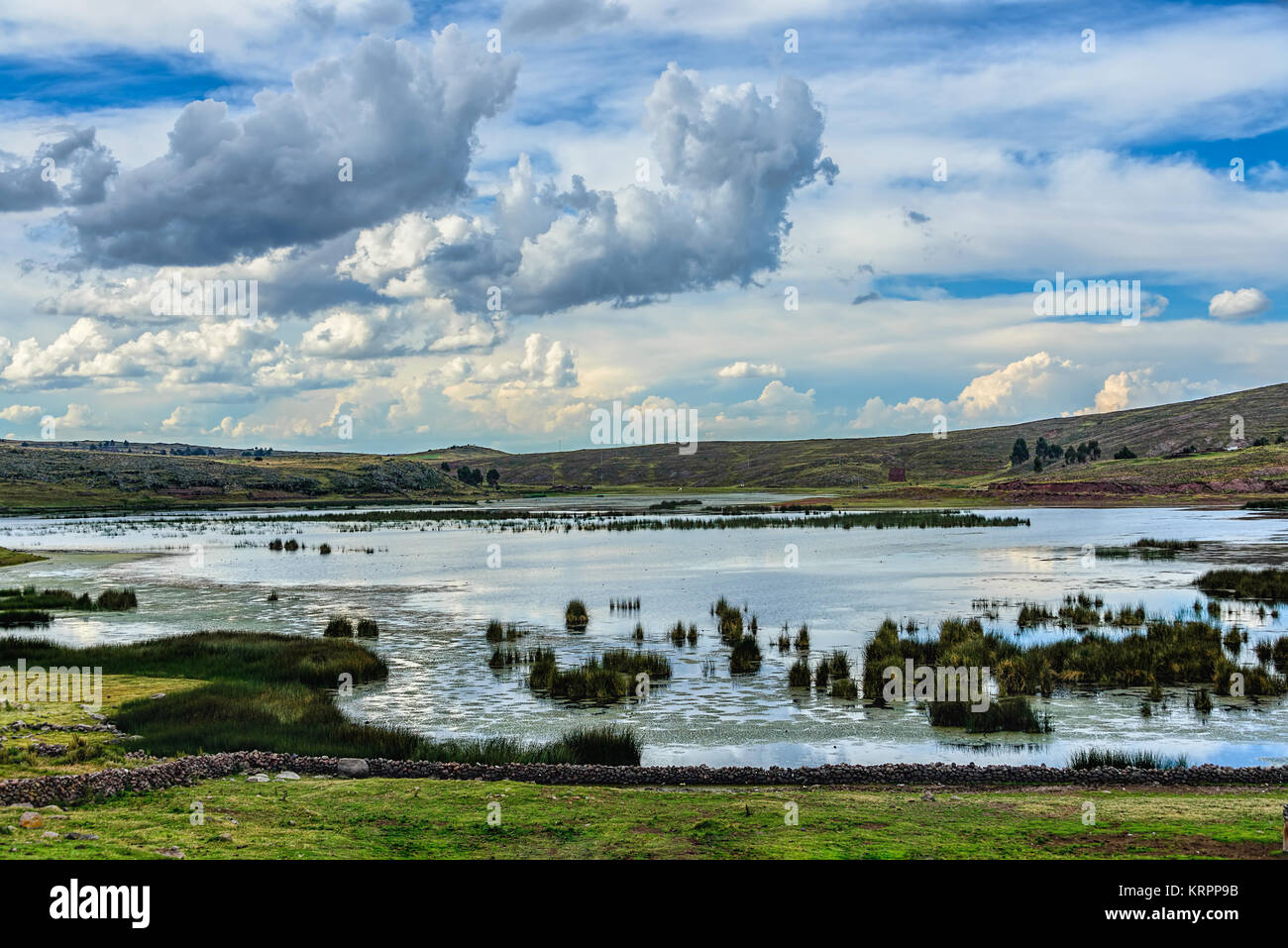 Blue marsh lake hi-res stock photography and images - Alamy