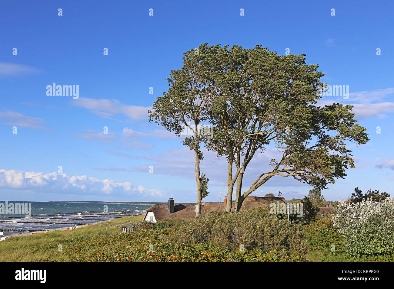 Ahrenshoop seaside resort hi-res stock photography and images - Alamy