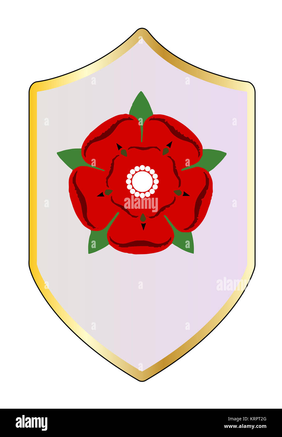 Red rose lancaster white hi-res stock photography and images - Alamy