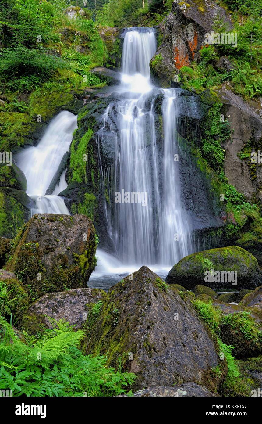 triberg waterfalls 3 Stock Photo - Alamy