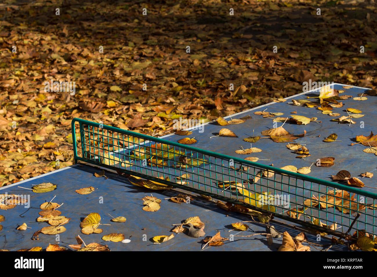Outdoor ping pong table covered in leaves Stock Photo - Alamy