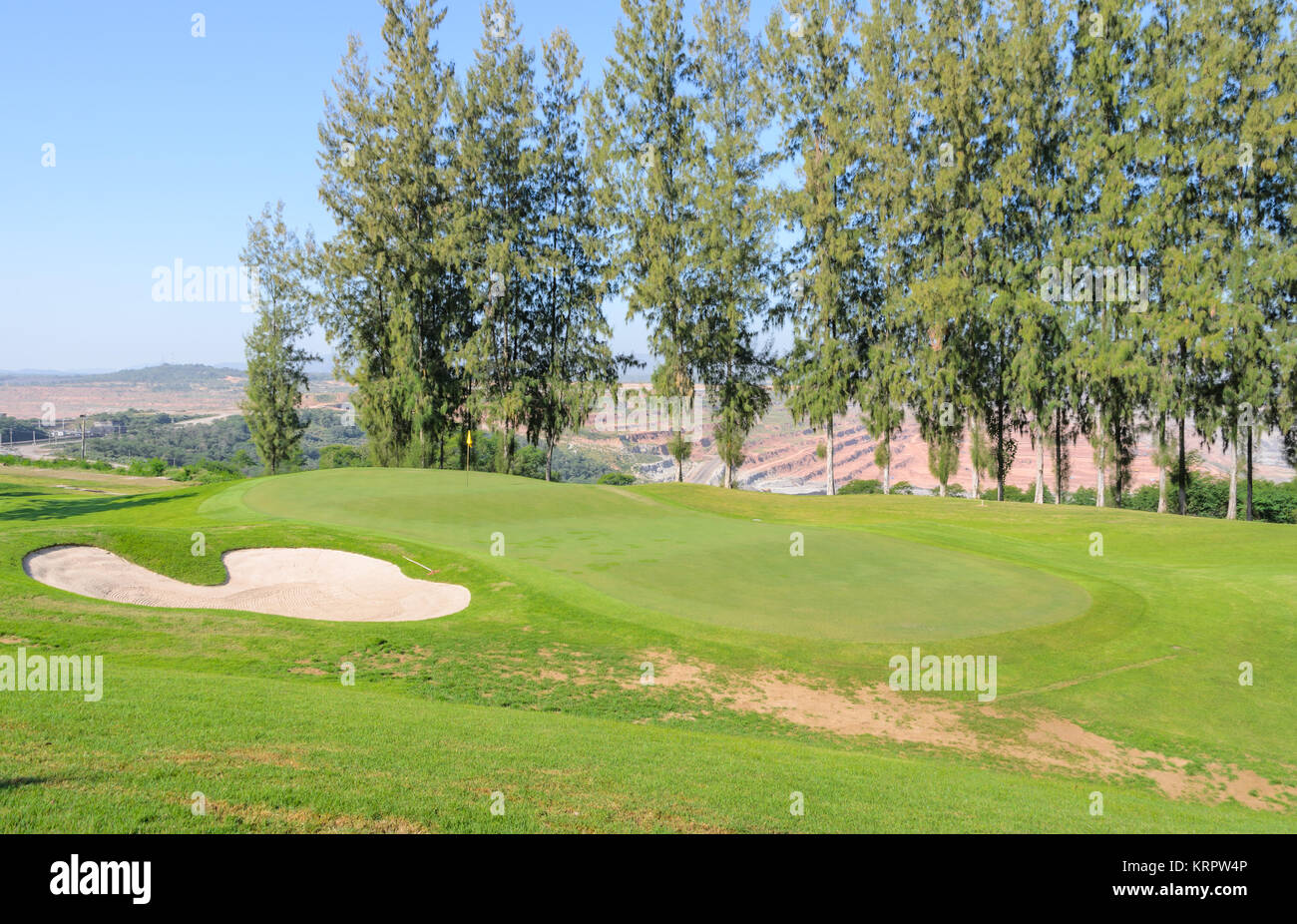 Court of pine hi-res stock photography and images - Alamy