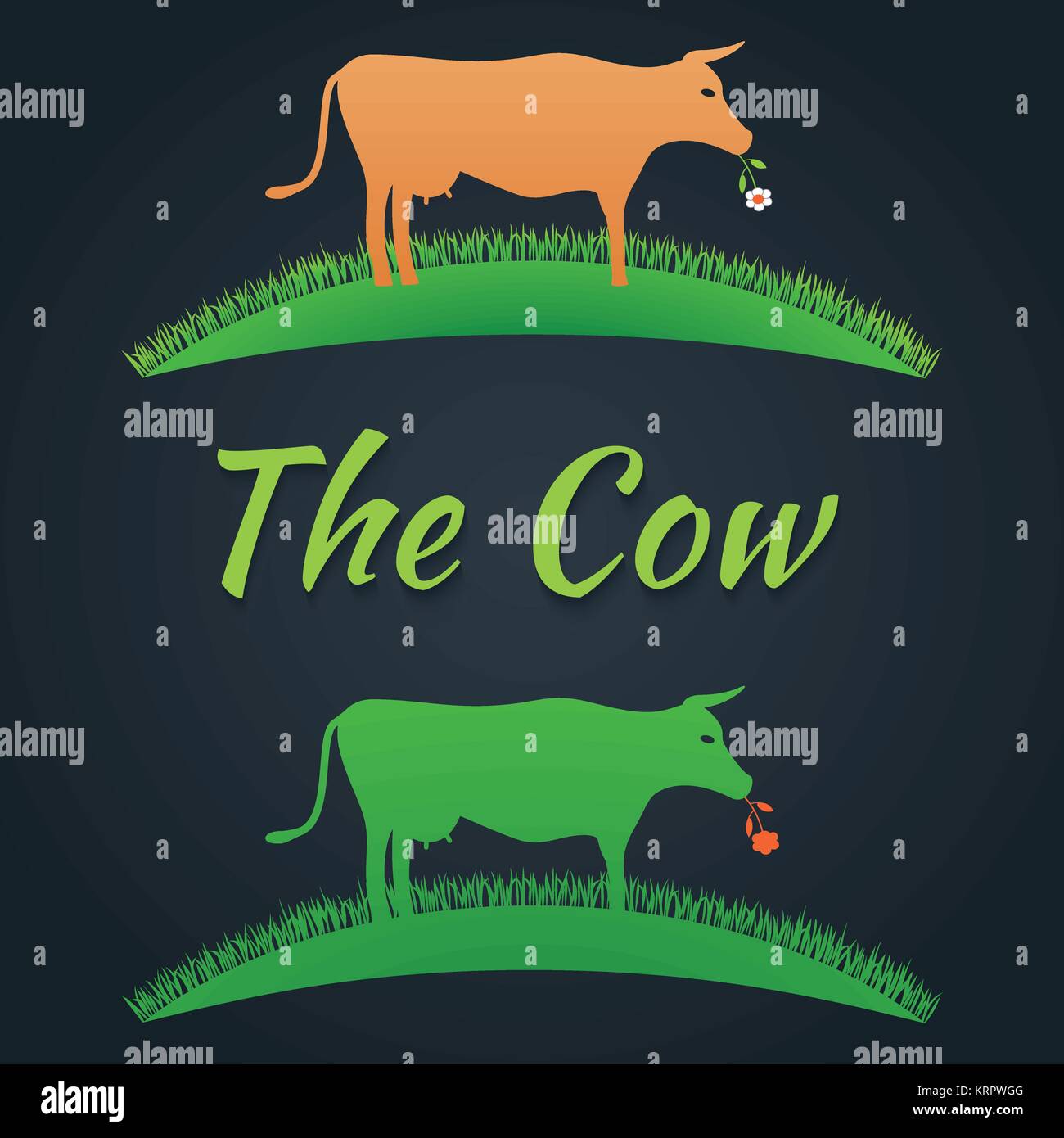 Label cow on the lawn on a gray background Stock Vector Image & Art - Alamy