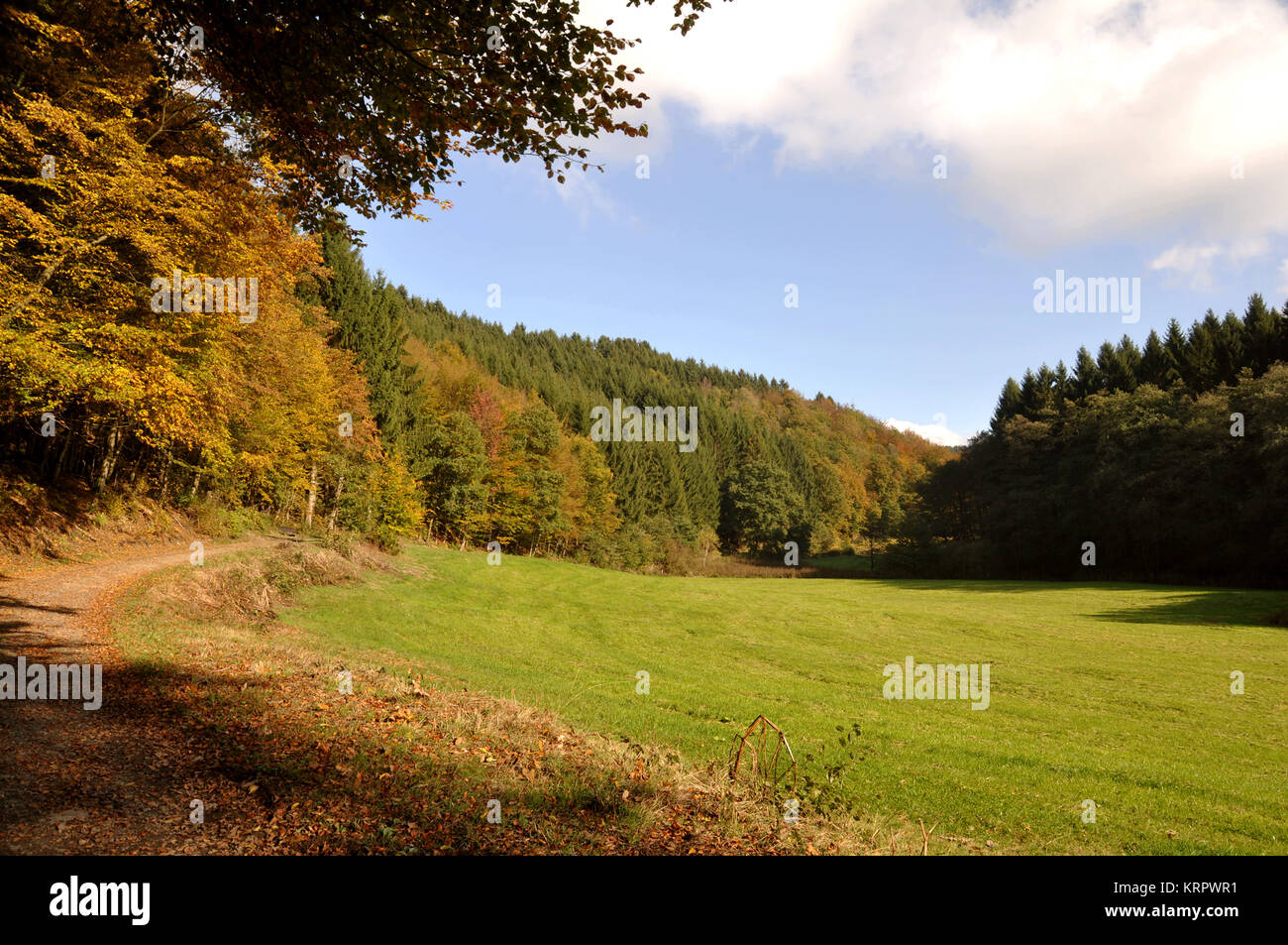 autumn colors in nature Stock Photo - Alamy