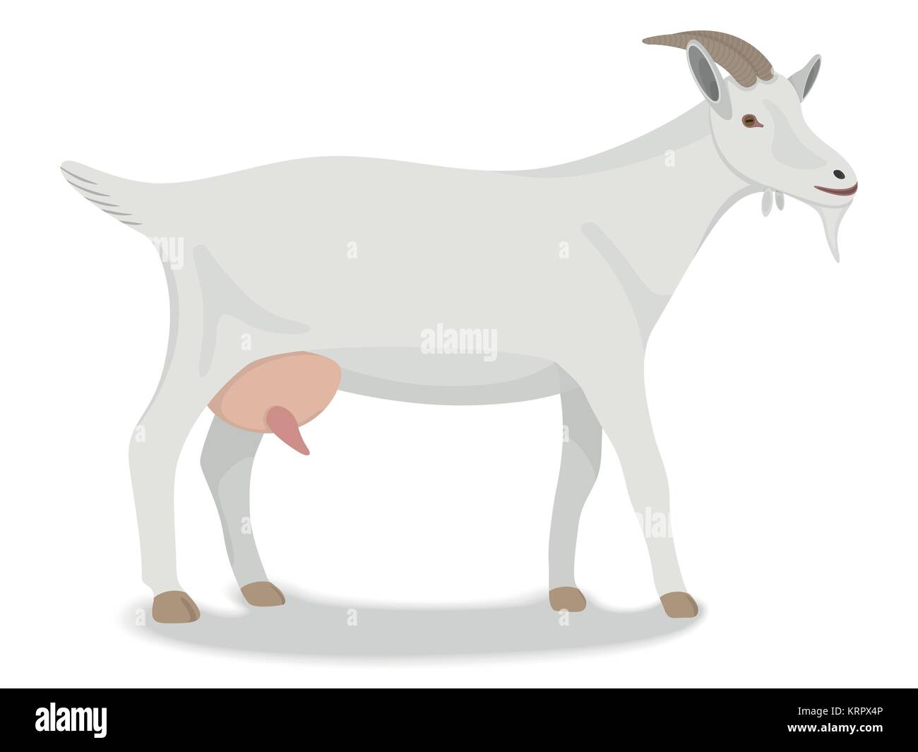 Goat standing up isolated on a white background Stock Vector Image ...