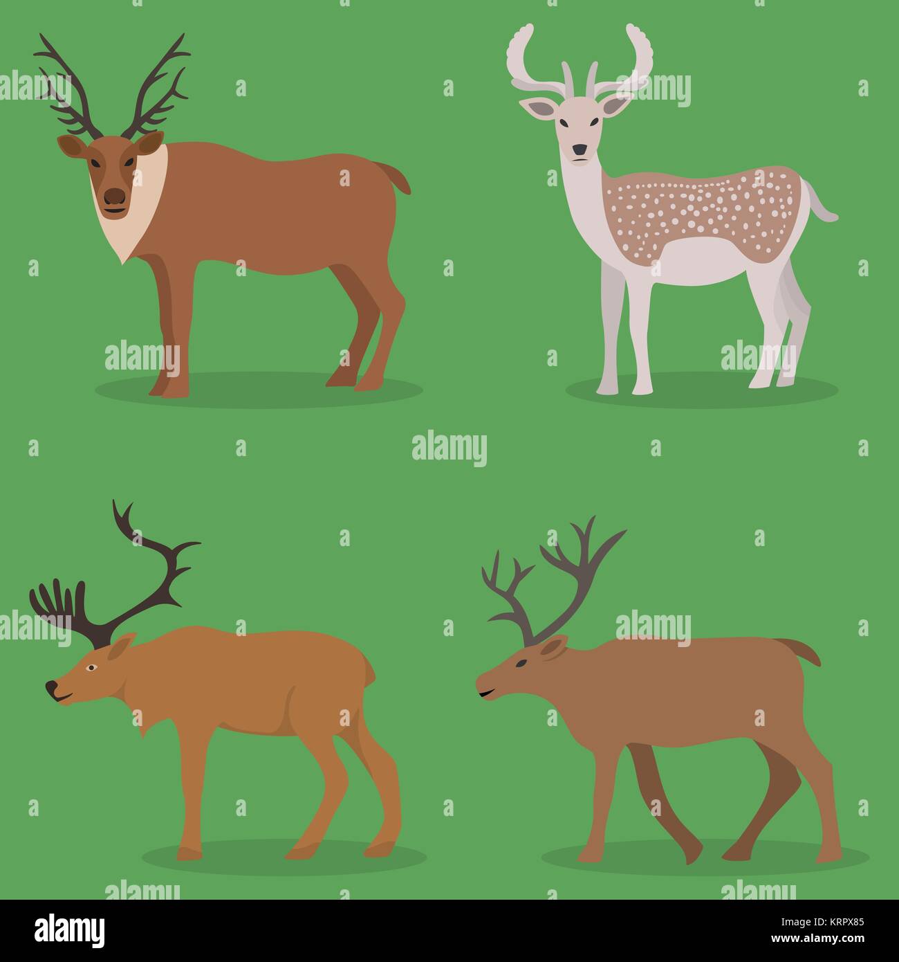 Collection of deer in a flat design - isolated on green background ...