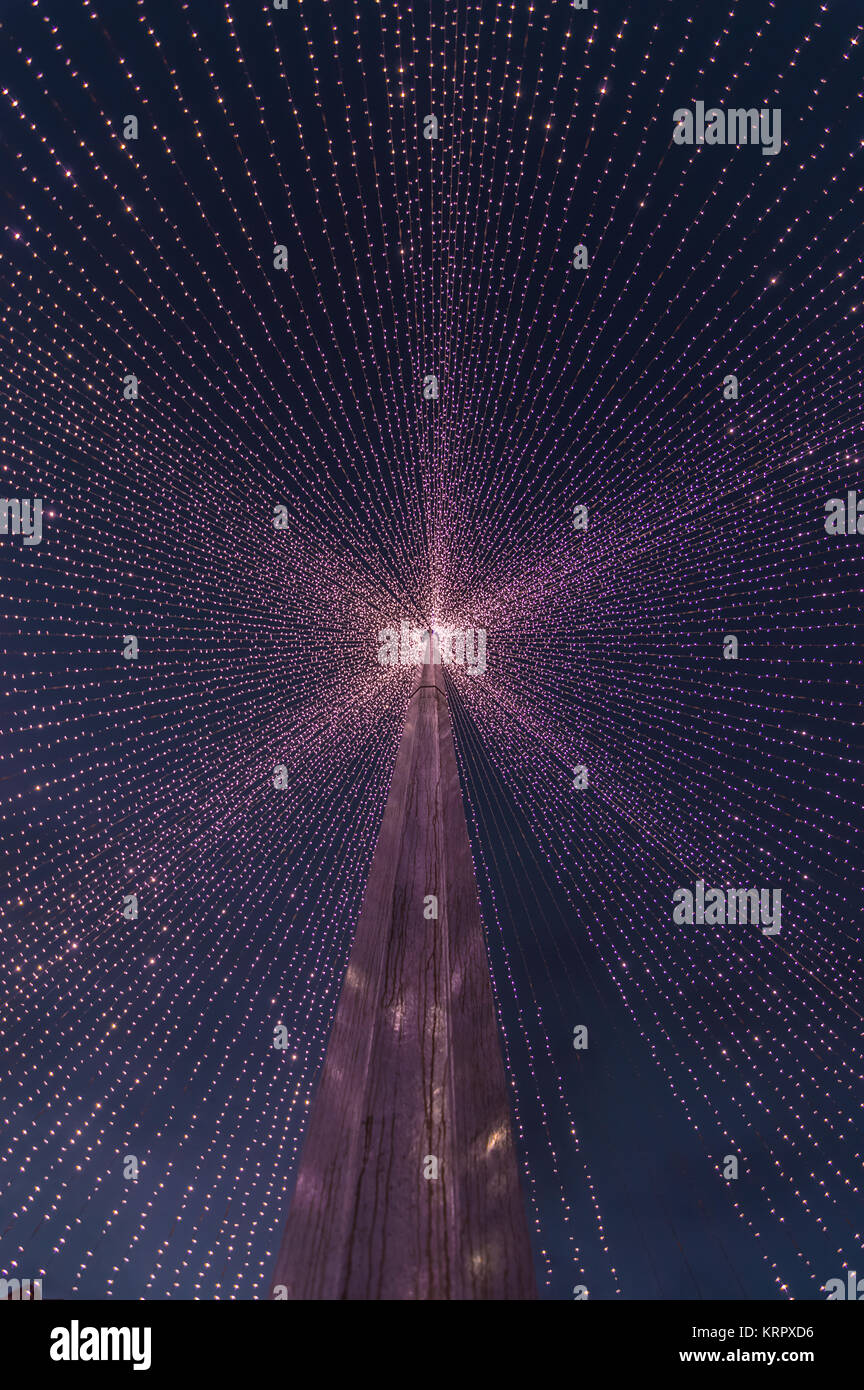 Timisoara christmas market hi-res stock photography and images - Alamy